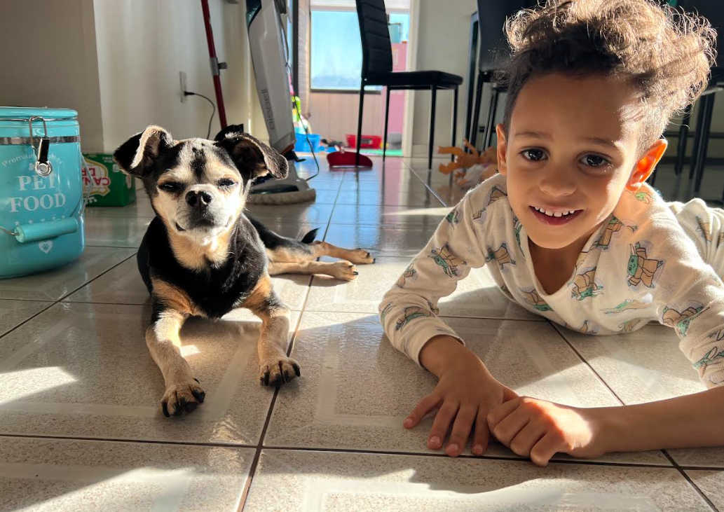 It's Just a Dog - Thexton Public Relations